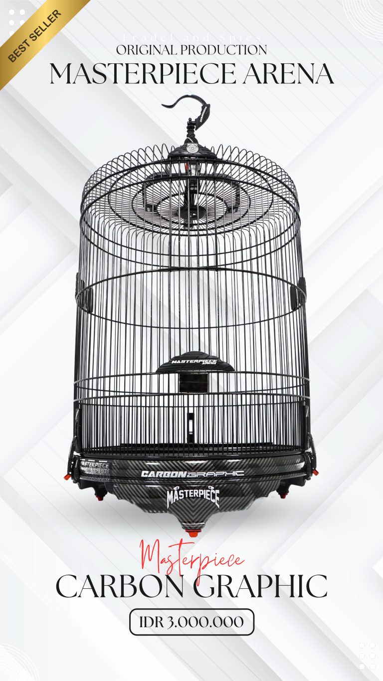 Home - MASTERPIECE ARENA